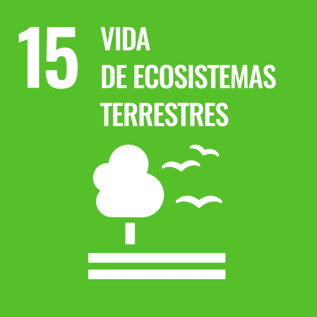 DIA DE LA INFANCIA – Taller de comederos – Ekoetxea